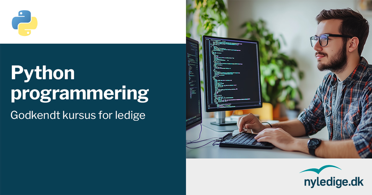 Python programmering, godkendt kursus for ledige